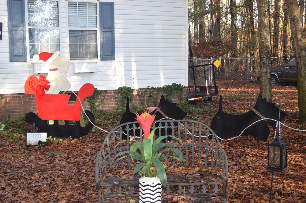 Scottie Things | Herron's Sandhills Scotties